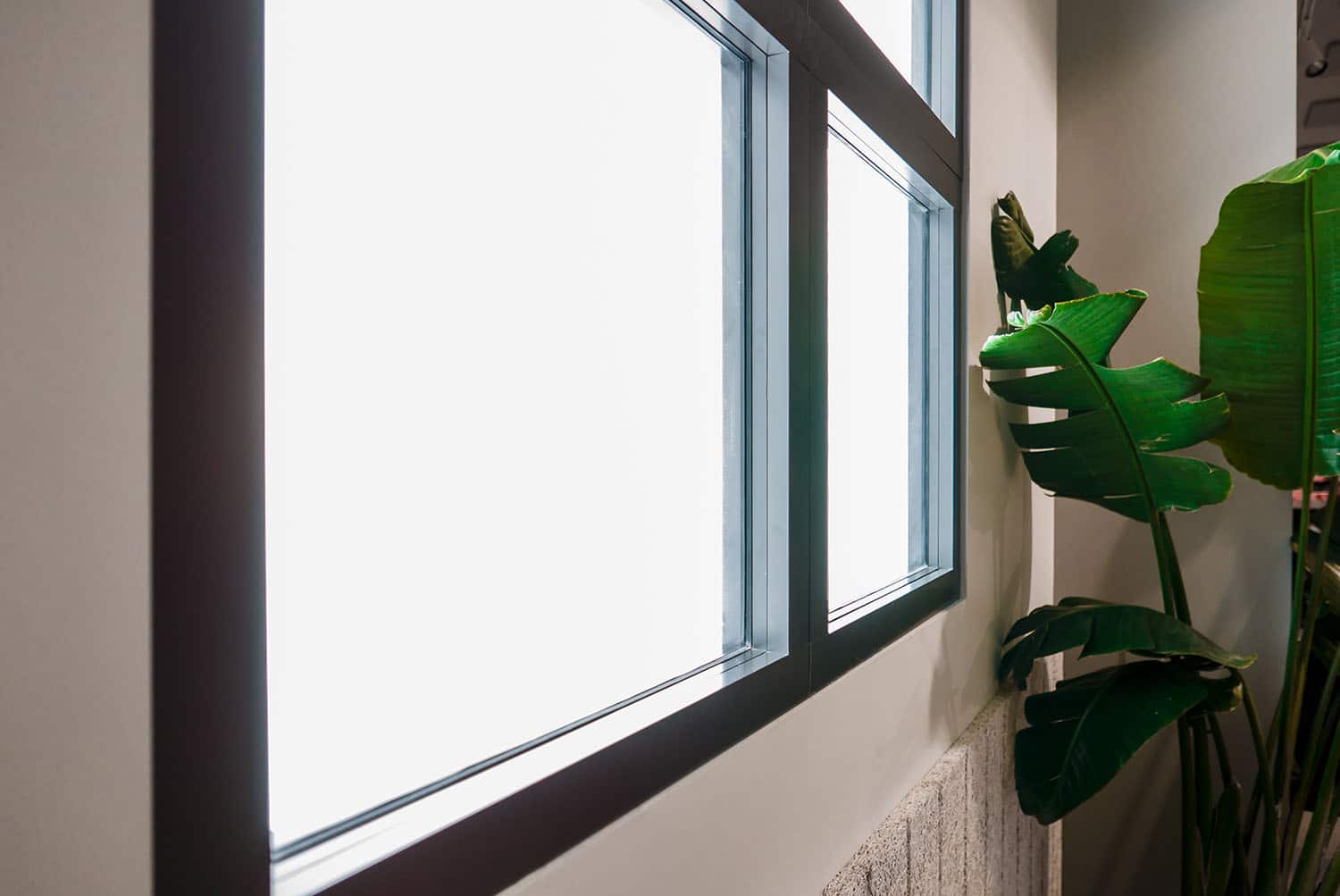 LIGHTGLASS™ Simulated Windows: Projects | Transform Windowless Spaces